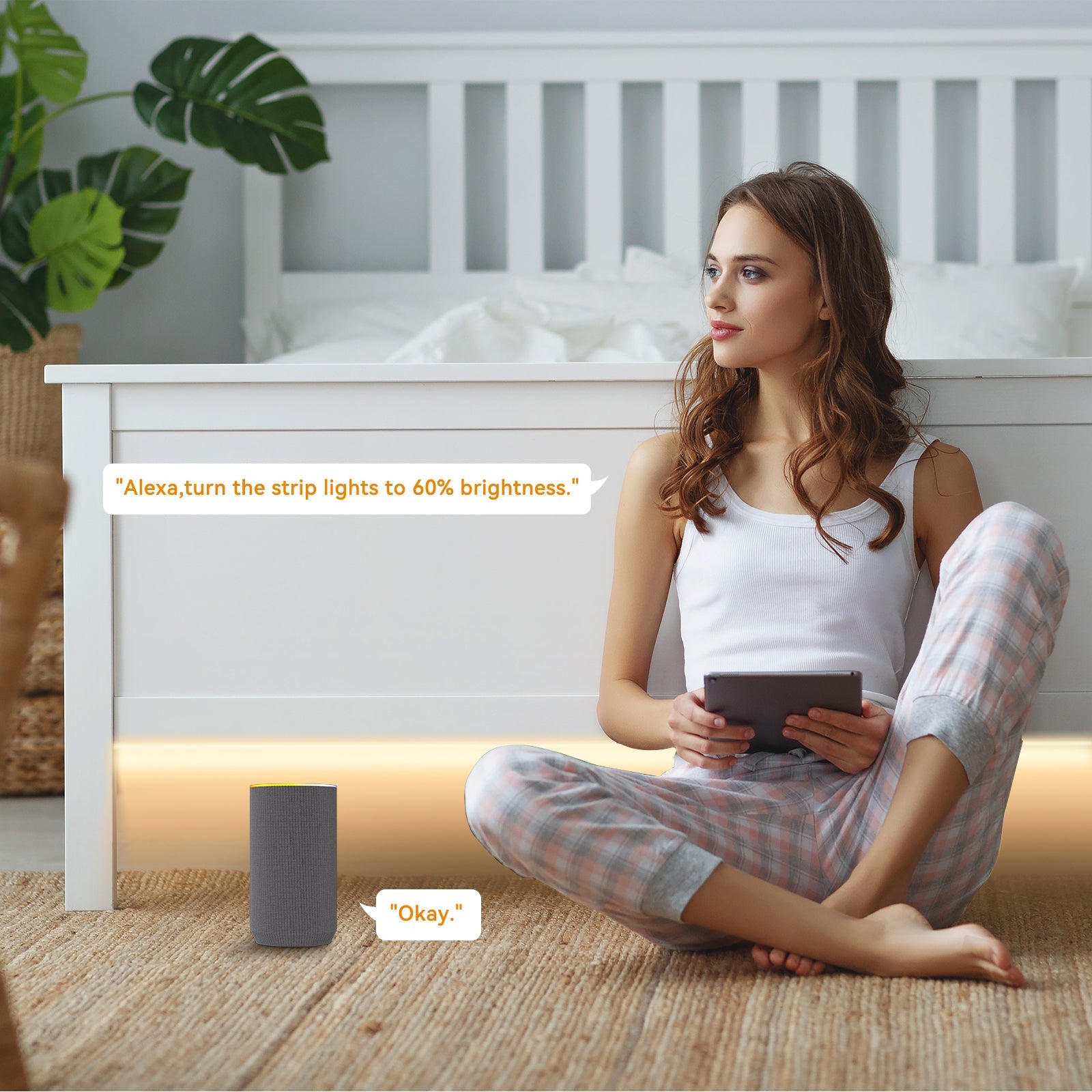 Smart Controller Kit – PAUTIX